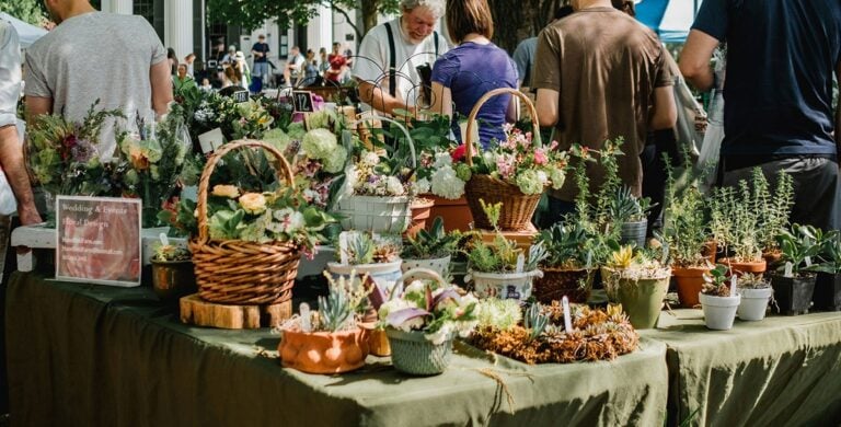 8 Tips for Setting Up a Successful Market Stall - LocalStalls